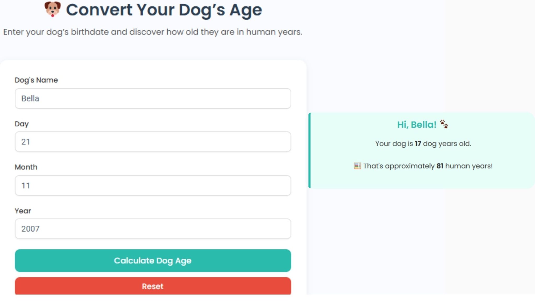 Dog Years Calculator – Convert Dog Age to Human Age